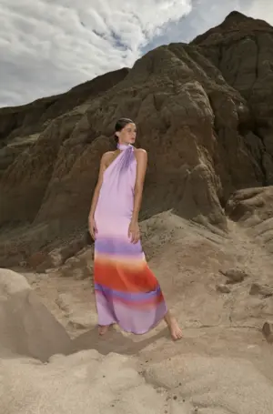 BAOBAB Ari Maxi Dress