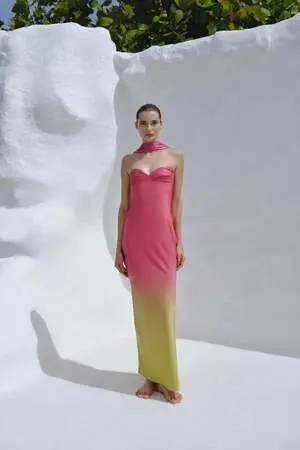 BAOBAB Athena Strapless Maxi Dress With Neck Collar - Eclipse