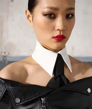 Karl Lagerfeld Decorative Collar And Tie