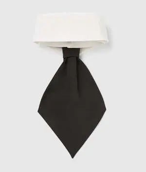 Karl Lagerfeld Decorative Collar And Tie