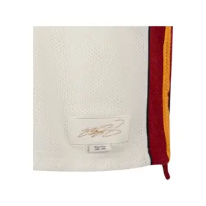 Nike Lebron James Miami Heat Dri-fit Jersey