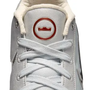 Nike Lebron Nxxt Gen "silver Lining" Basketball Shoes - Grey