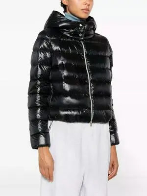 Herno Padded Hooded Coat