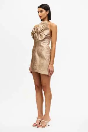 Acler Finwood Mini Dress