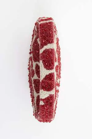 Acler Beaded Birch Bag