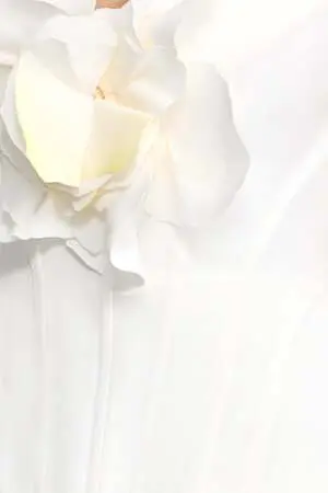 Acler Bankson Maxi Dress