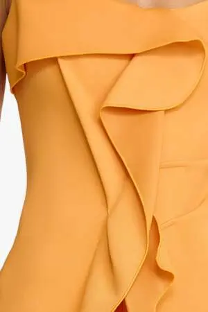Acler The Realbart Maxi Dress - Clementine