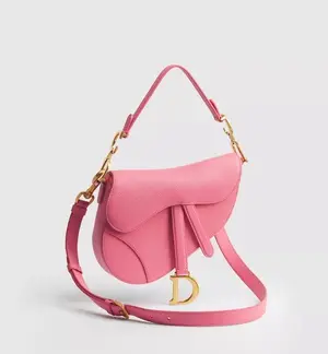 Dior Small Saddle Bag With Strap