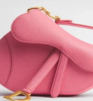 Dior Small Saddle Bag With Strap