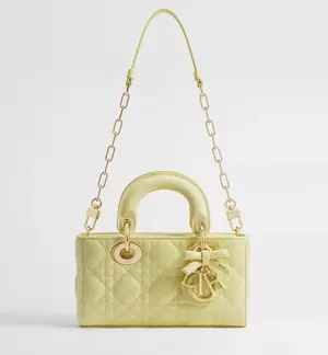 Dior Mini Lady D-joy Bag