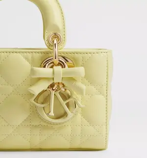 Dior Mini Lady D-joy Bag