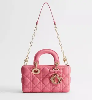 Dior Mini Lady D-joy Bag