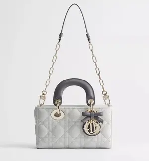 Dior Mini Lady D-joy Bag
