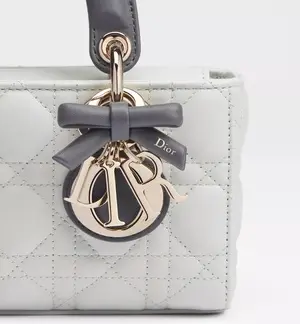 Dior Mini Lady D-joy Bag