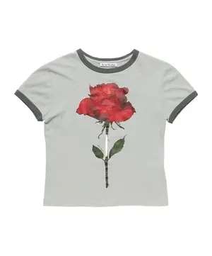 Acne Studios Rose Print Ringer T-shirt - Gray/red