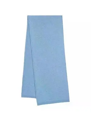 Another Tomorrow Cashmere Scarf - Blue