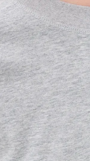 Lioness Bloom Long Sleeve Tee - Grey