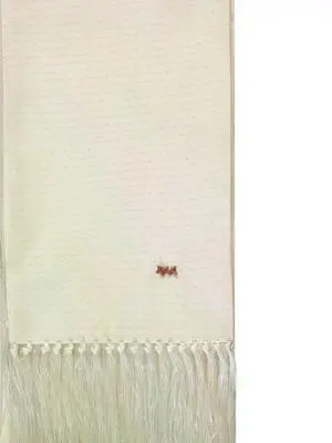 Zegna Fringe-trimmed Embroidered Scarf