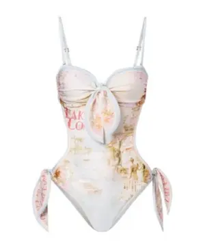 Zimmermann Printed One Piece Swimsuit With Bow Detail