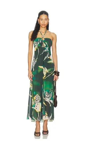 Steve Madden Strada Maxi Dress