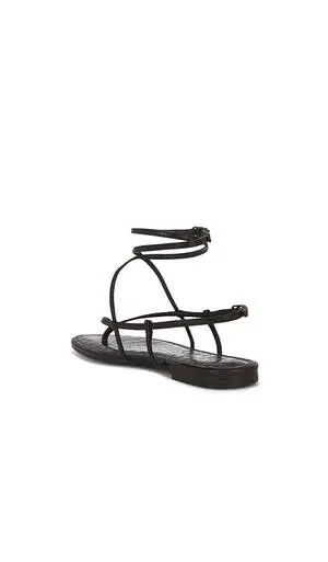 Sam Edelman Clarra Strappy Sandal - Chocolate