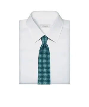 FERRAGAMO Printed Silk Neck Tie