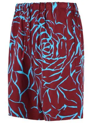 Dries Van Noten Piperi Bermuda Shorts - Multicolor
