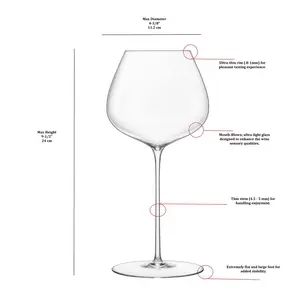 LUIGI BORMIOLI Sapienta Cabernet Glasses, Set Of 2