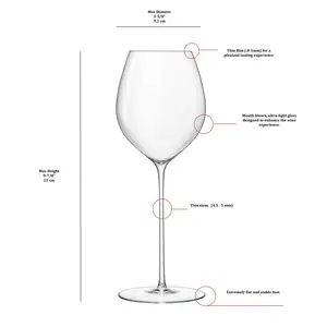 LUIGI BORMIOLI Sapienta Chardonnay Glasses, Set Of 2