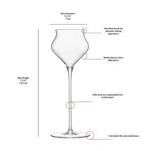 LUIGI BORMIOLI Sapienta Spirits Glasses, Set Of 2