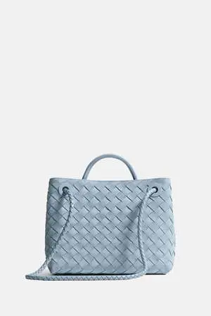 Bottega Veneta Small Andiamo Bag