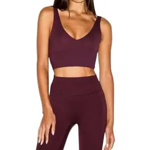 Nike X Skims Matte V-neck Bra
