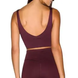 Nike X Skims Matte V-neck Bra