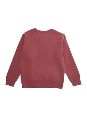 Polo Ralph Lauren Fleece Sweatshirt With Polo Bear Graphic