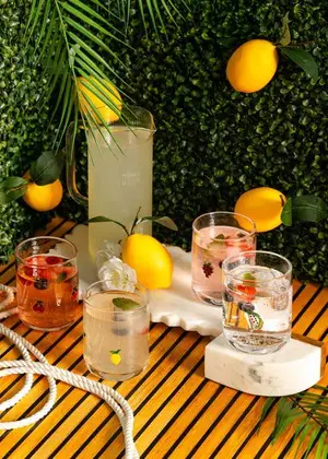 JEANNE FITZ Assorted Fruits Icon Glasses