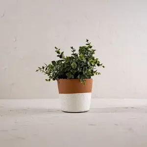 FORESIDE HOME AND GARDEN Terracotta Bottom Dipped Terracotta Planter