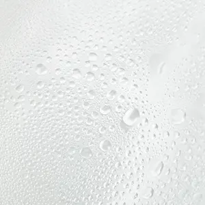 BIOEFFECT Icelandic Water Mist
