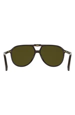 Longchamp Roseau 58mm Aviator Sunglasses - Transparent Brown