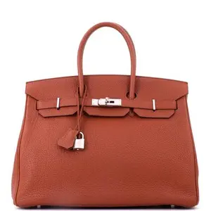 Hermès Birkin Handbag Fjord With Palladium Hardware 35 - Brown