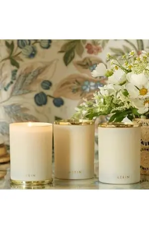 Aerin Monserrate Rose Scented Candle