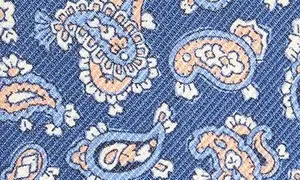 David Donahue Paisley Print Silk Twill Tie