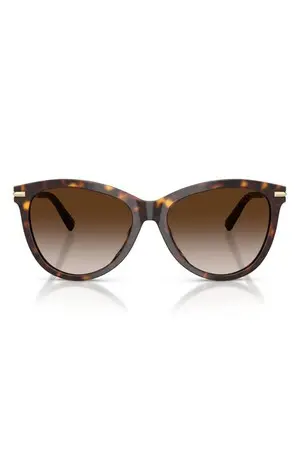 Tiffany & Co. Gradient Phantos Sunglasses - Havana/brown Gradient