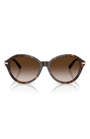 Tiffany & Co. Tiffany & Co. Gradient Round Sunglasses Havana/brown Gradient