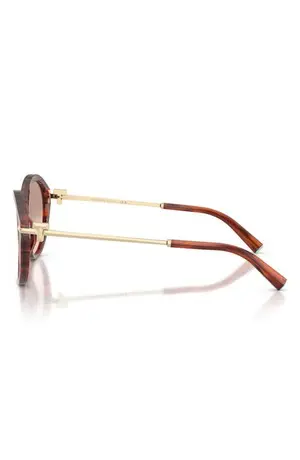 Tiffany & Co. Gradient Round Sunglasses - Ruby Striped Havana/pink