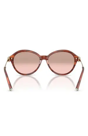 Tiffany & Co. Gradient Round Sunglasses - Ruby Striped Havana/pink