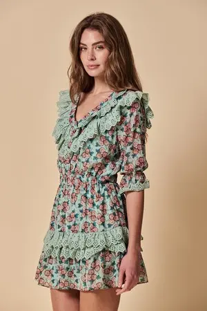 The Shirt By Rochelle Behrens Nicky Dress