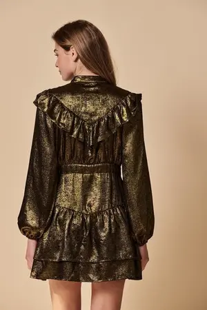 The Shirt By Rochelle Behrens Gwenyth Mini Dress
