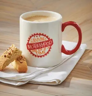 TAG Surviving Motherhood One Sip A Time Earthenware Mug Multi 16 Oz 3.75x4