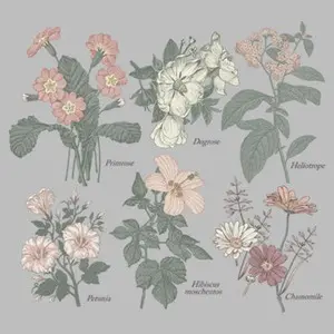 LOST GODS Floral Names Scoop Hem T-shirt