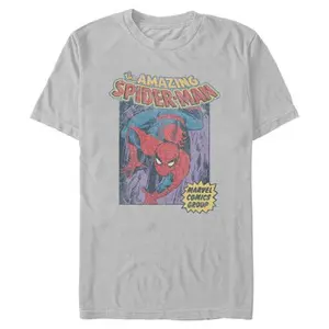 MARVEL: SPIDER-MAN Distressed Amazing Spider Short Sleeve Graphic T-shirt - Ice Grey